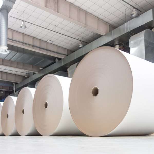 Wood Pulp Parent Paper – elinnee